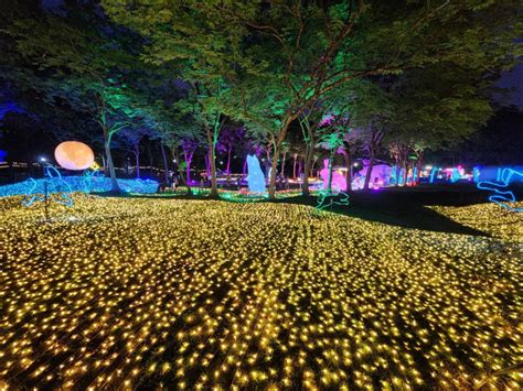 ททท จัดเต็มแสง สี เสียง กับงาน “วิจิตร 5 ภาค กรุงเทพ” ดึงเทคโนโลยีสะท้อนศิลปะแห่งความศรัทธา