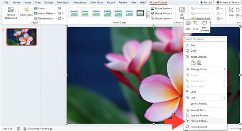 The Best Guide To Crop Pictures In PowerPoint Perfectly MyExcelOnline
