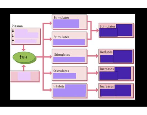 Growth Hormone Effects Quiz