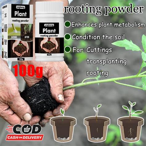 100g Rooting Hormone Powder Rapid Growth Root Medicinal Hormone