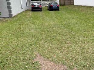 Savannah GA Lawn Care Service Lawn Mowing From 19 Best Of 2024