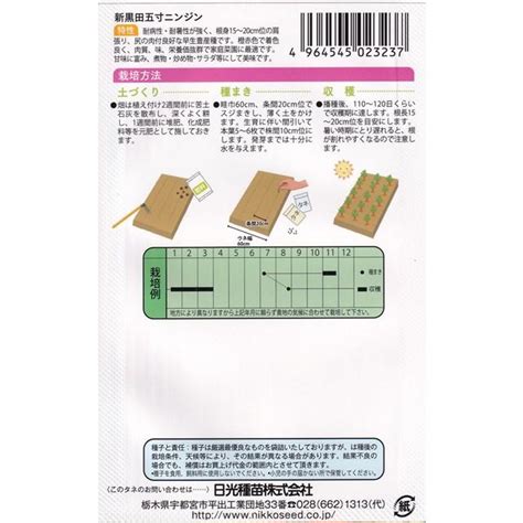 日光種苗 新黒田五寸人参（にんじん・ニンジン） 内容量：5ml 【2323】【秋】 日光種苗ヤフー店 通販 Yahooショッピング