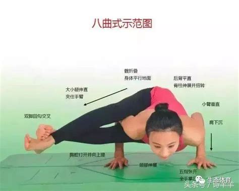 初学瑜伽24式图 瑜伽基本动作图片更多 典瑜伽52式 第2页 大山谷图库