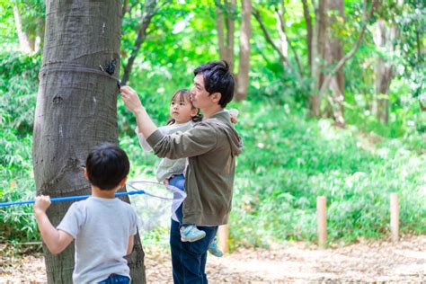 3歳におすすめの自然遊び「自然スタンプラリー」