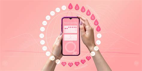 Estudio Concluye Que Ciclo Menstrual Lo Regula Un Reloj Interno