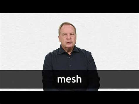 MESH Definition And Meaning Collins English Dictionary
