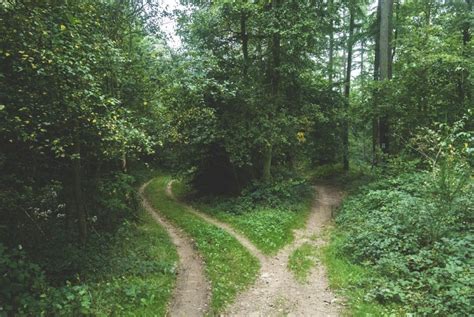 towards data science on linkedin trajectory queries using space