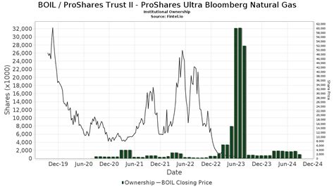 Unusual Call Option Trade In Proshares Trust Proshares Ultra