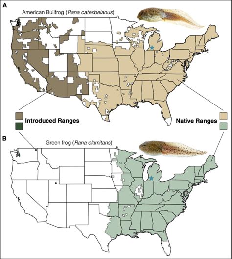 Bullfrog Habitat Map