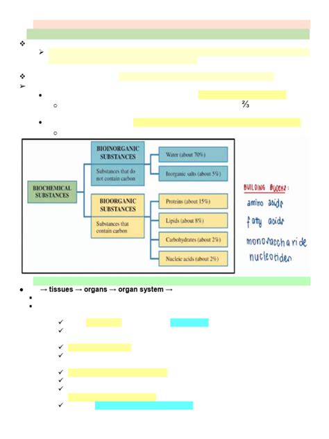 Module 2 Biochemistry Pdf Mitosis Cell Biology