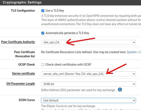 Openvpn And Pfsense Site To Site Simplificando Redes