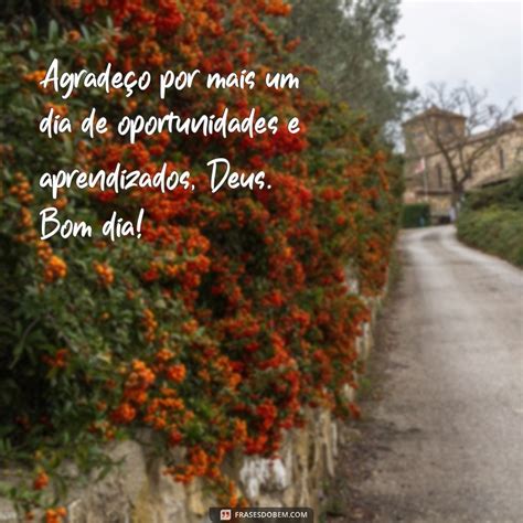Descubra as melhores frases de bom dia de agradecimento a Deus para começar o dia gratidão