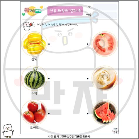 활동지 여름 과일 겉과 속 선긋기 만자디자인