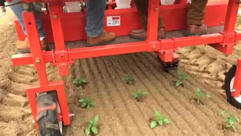 2 Row Vegetable Seeding Transplanter Automatic Vegetable Seedling Transplanting Machine Buy