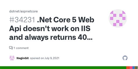 Net Core 5 Web Api Doesnt Work On Iis And Always Returns 404 Error · Issue 34231 · Dotnet