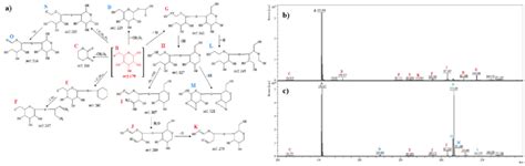 A Fragmentation Pathways Of D Glucose B Ms Spectrum Before Download Scientific Diagram