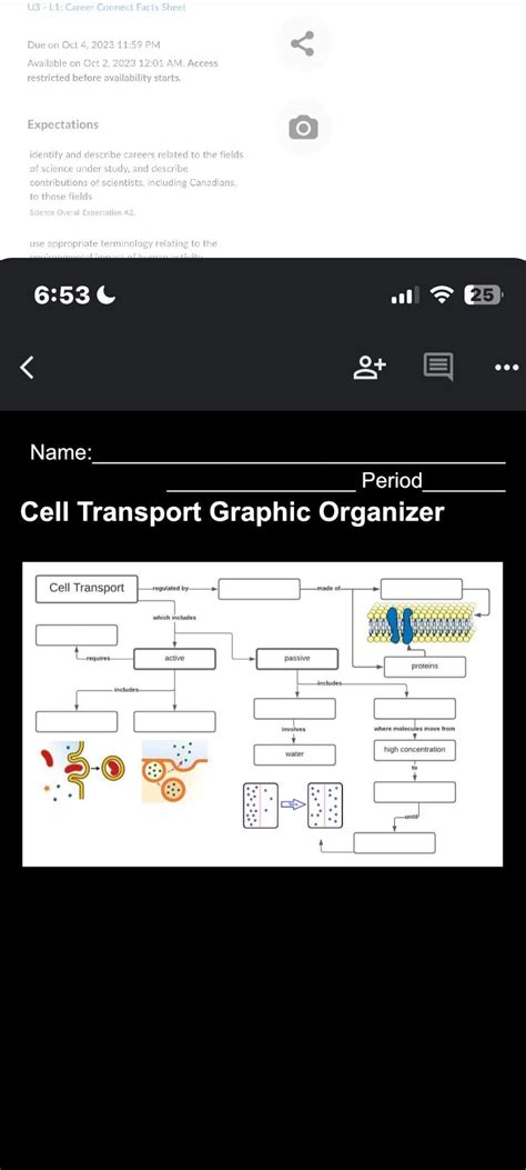 Solved Simple Diffusion Movement Of Particles From An Chegg