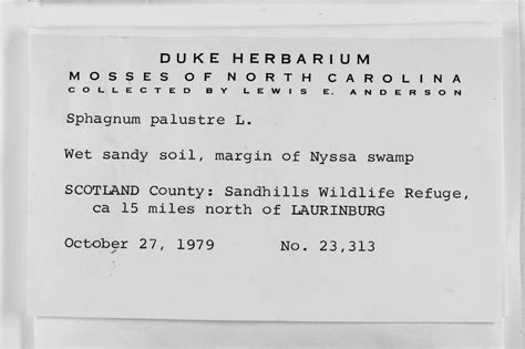 Consortium Of Bryophyte Herbaria Occurrence Profile