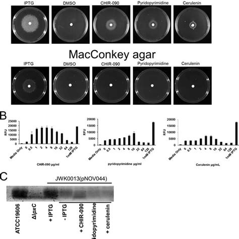 Lcms Multiple Reaction Monitoring Lcms Mrm Of Lipid A Pathway Download Scientific Diagram