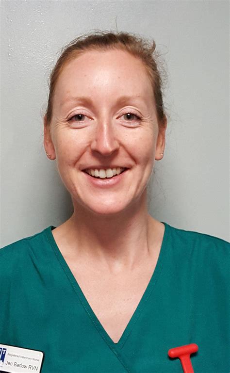 Life In Referral By Jen Barlow British Veterinary Nursing Associationbritish Veterinary