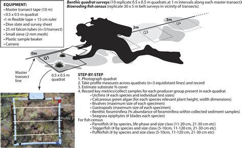 Quantifying Reef Derived Sediment Generation Introducing The Sedbudget Methodology To Support