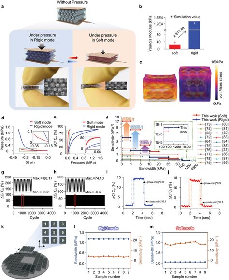 Characterization Of The Gm‐tps A Schematic Illustration And Optical