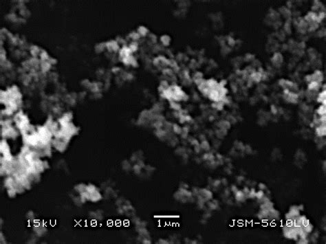B Sem Micrograph Of The Co Doped Tio 2 Download Scientific Diagram