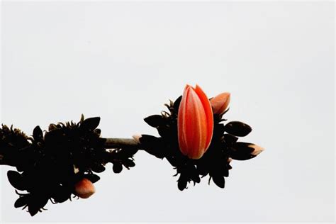 by umesh soni
