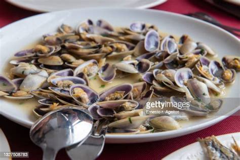 Donax Bivalve Photos And Premium High Res Pictures Getty Images
