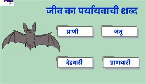 जातिवाचक संज्ञा के 100 उदाहरण Leverage Edu