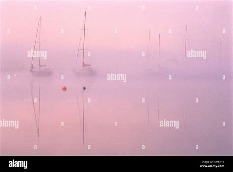 Boats In Mist At Dawn Saint John River Gagetown New Brunswick Canada