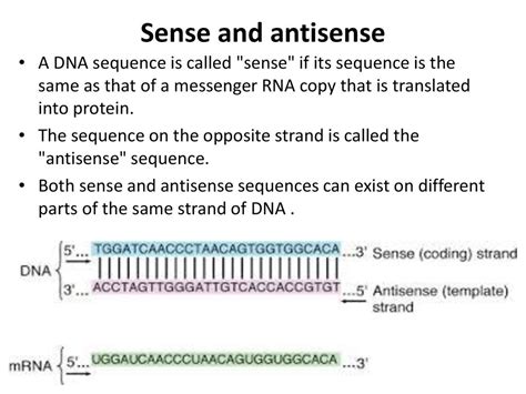 The Nucleotides Biomedical Importance Ppt Download
