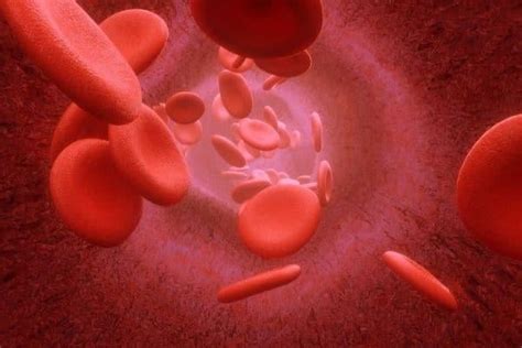 Pembuluh Darah Pecah Sebab Utama Serta Risiko Risikonya