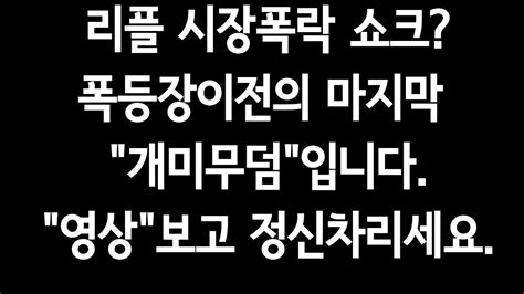 리플 시장폭락쇼크 폭등장이전의 마지막 개미무덤 입니다 영상 보고 정신차리세요 YouTube