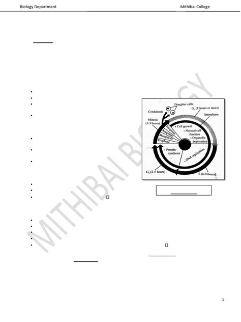 Notes Cell Division Biology Pdf