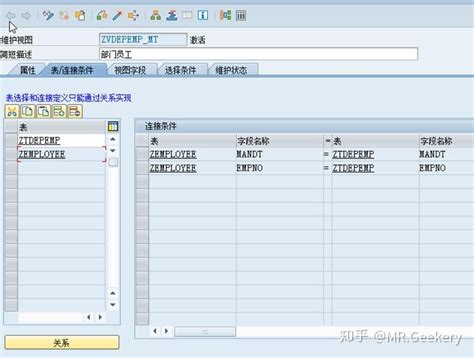 SAP开发 ABAP数据字典视图 知乎