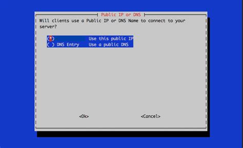Setup Vpn Server With Ad Blocker Using Raspberry Pi
