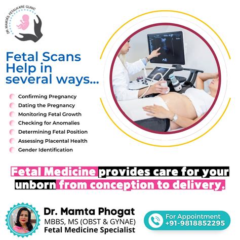 Fetal Dr Mamta Phogat Fetal Medicine Specialist
