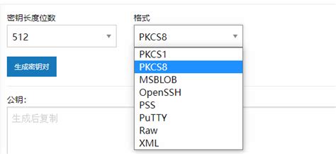 Rsa Pkcs Bbi Bbi