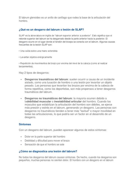 El Labrum Glenoideo Pdf Hombro Medicina