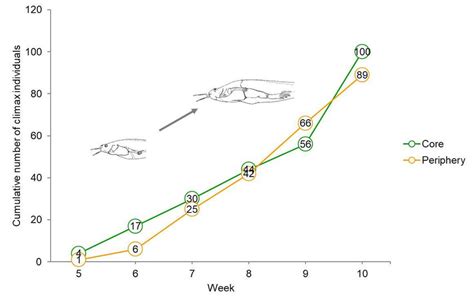 5 Cumulative Number Of Xenopus Laevis Individuals That Transitioned