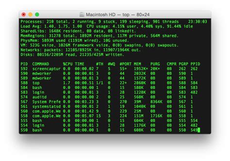 Xterm And Terminal Windows System Life Different