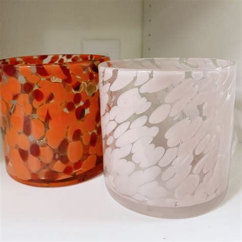 Container Tortoise Glow Ts