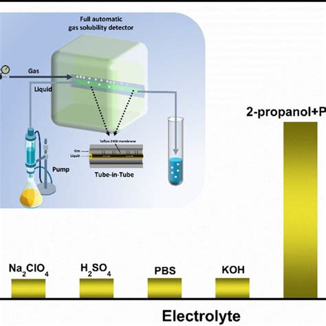 Fig S1 Experimental Apparatus Of The Electrochemical Reduction Of N 2 Download Scientific