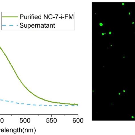 Fluorescence Spectra Left And Fluorescence Microscopy Image Right