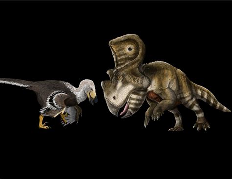 Velociraptor Vs Protoceratops Velociraptor Protoceratops And