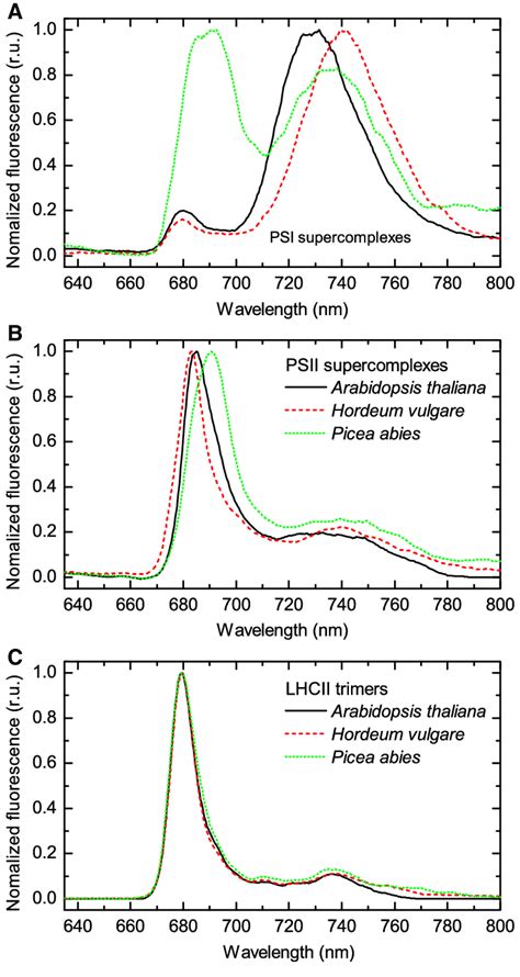 Normalized 77 K Fluorescence Emission Spectra Of Psi Supercomplexes