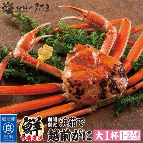 Echizengani