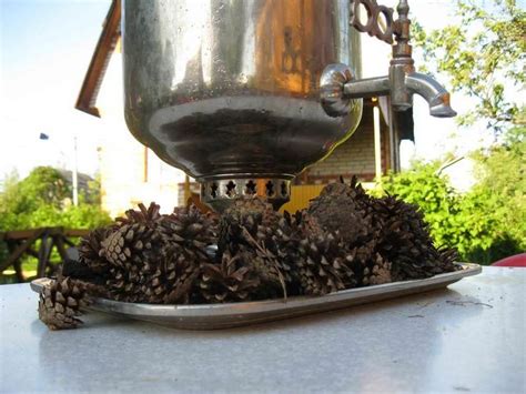 DIY Pine Cone Fire Starters