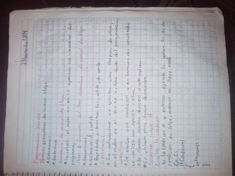 Programación Básica Definición And Ejemplo De Estructuras Selectivas Secuenciales If